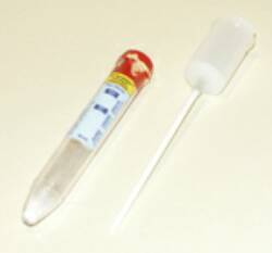 Urine Straw System - UTI, Urinalysis, and STI || BD364943